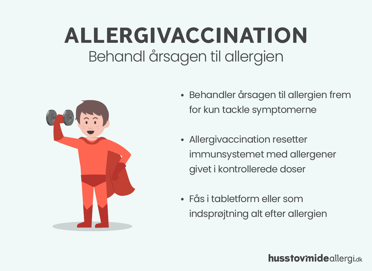 Børn og allergimedicin | Behandling av husstøvmideallergi hos barn